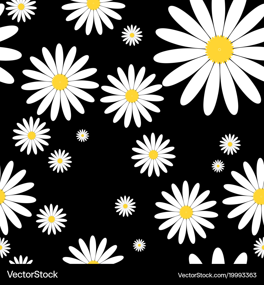 White Daisies Seamless Pattern Royalty Free Vector Image