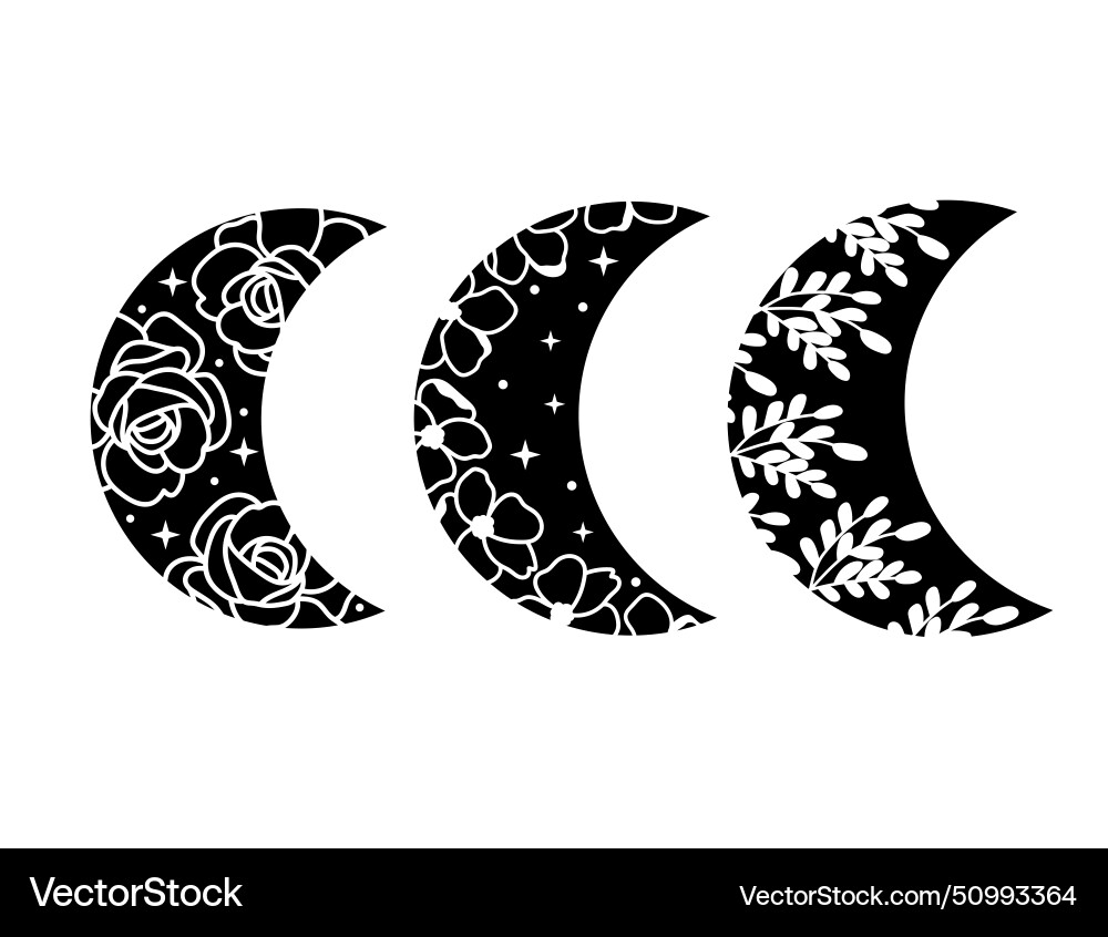 Celestial outline crescent moon with flowers Vector Image