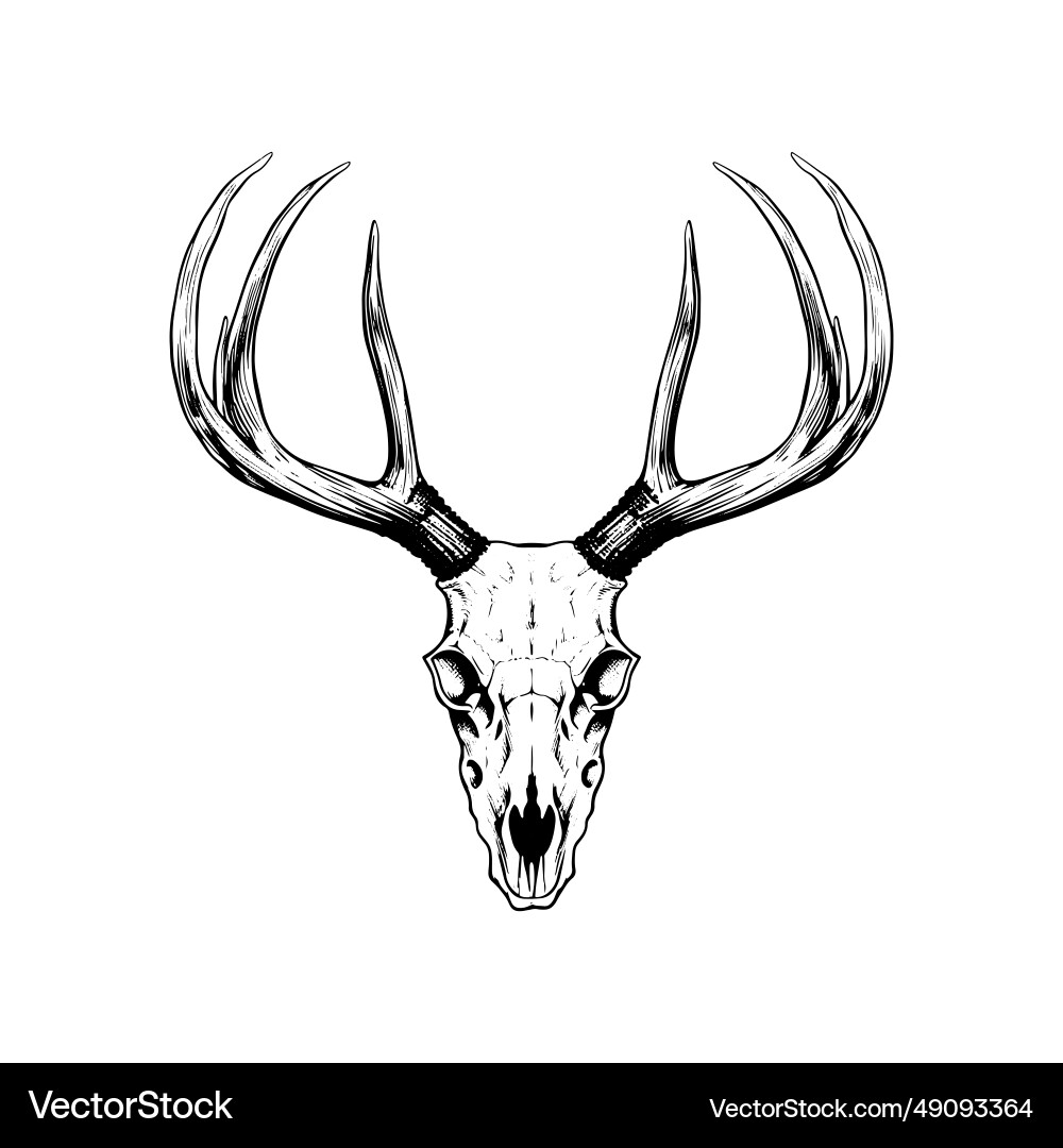 Deer Head Outline Printable