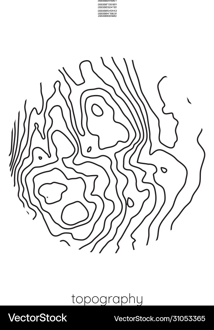 Abstract topographic map in a circle form Vector Image