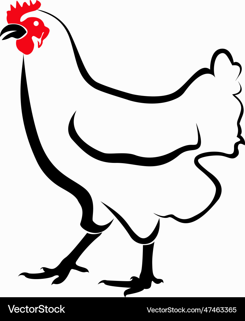 Hen line draw Royalty Free Vector Image - VectorStock