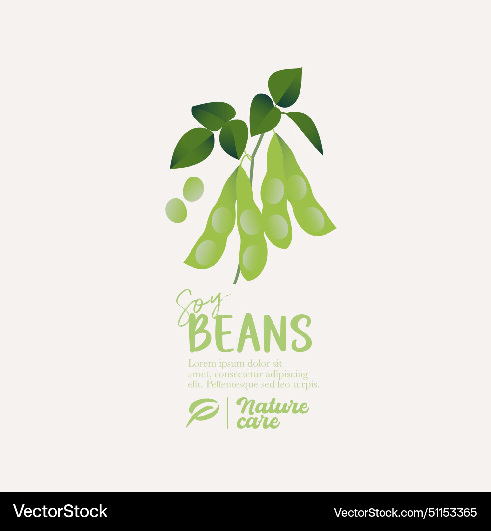 Soy beans logo with text Royalty Free Vector Image