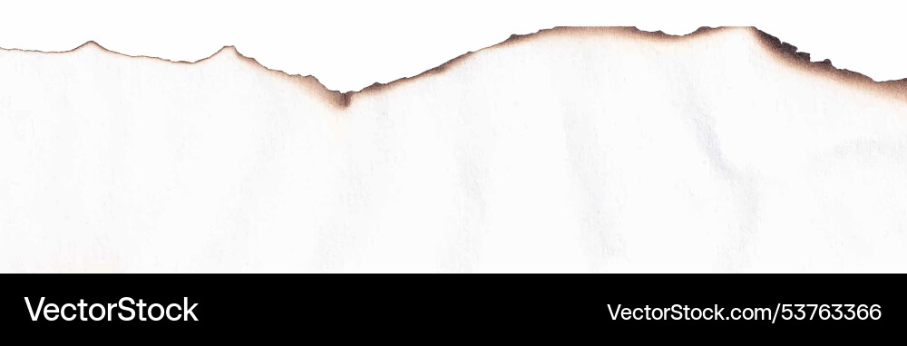 Burnt paper edges realistic Royalty Free Vector Image