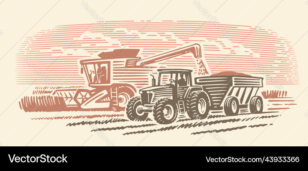 Tractor and Combine Harvester in Field Royalty Free Vector