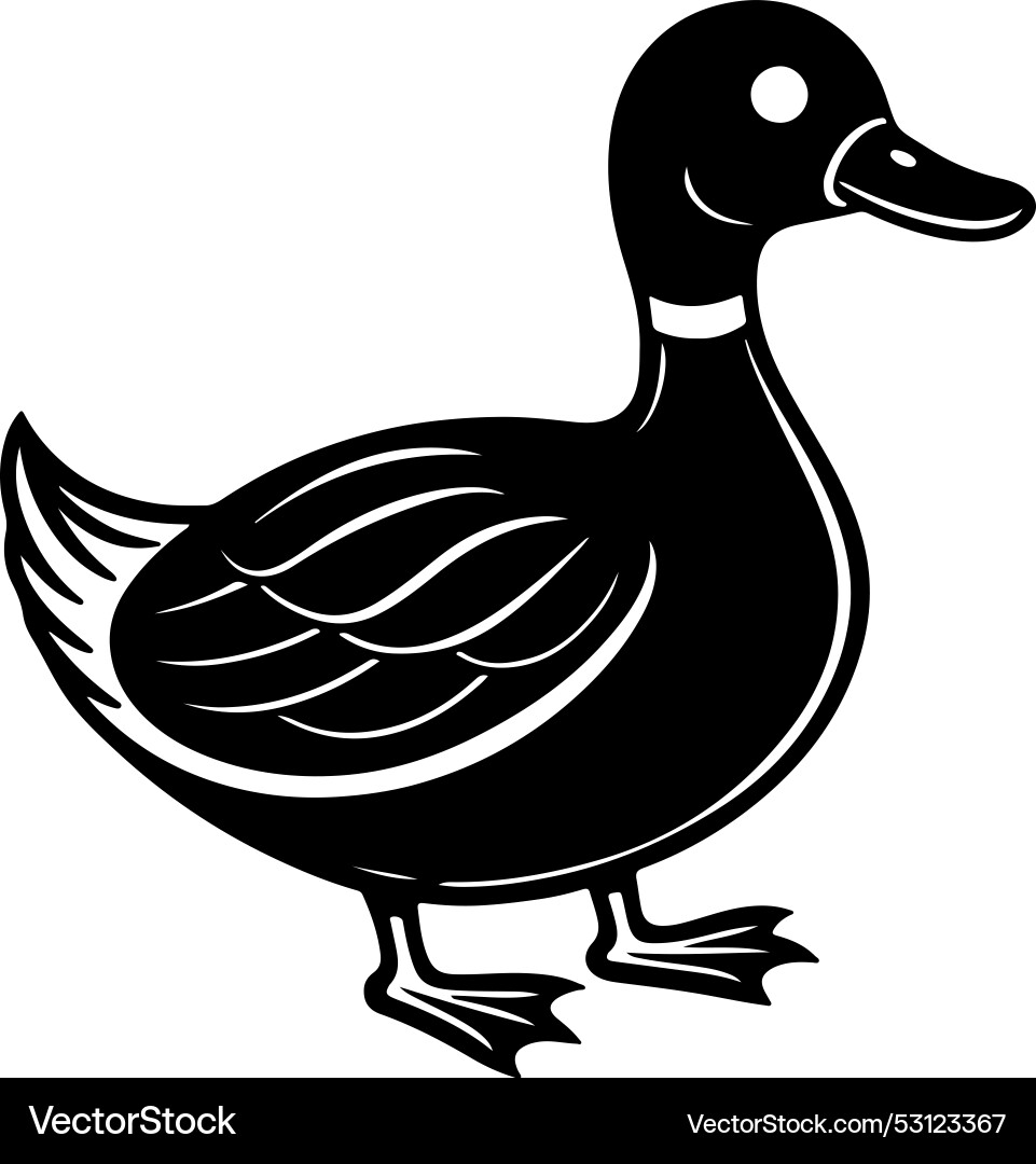 Black and white of a duck Royalty Free Vector Image