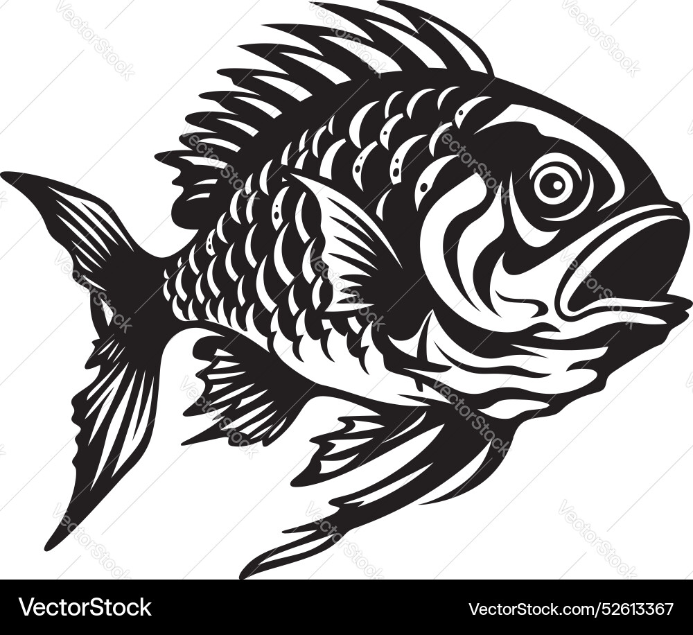 Marine majesty tropical river fish images Vector Image Marine majesty tropical river fish images Vector Image