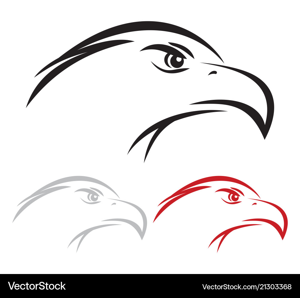 Hawk Royalty Free Vector Image - VectorStock