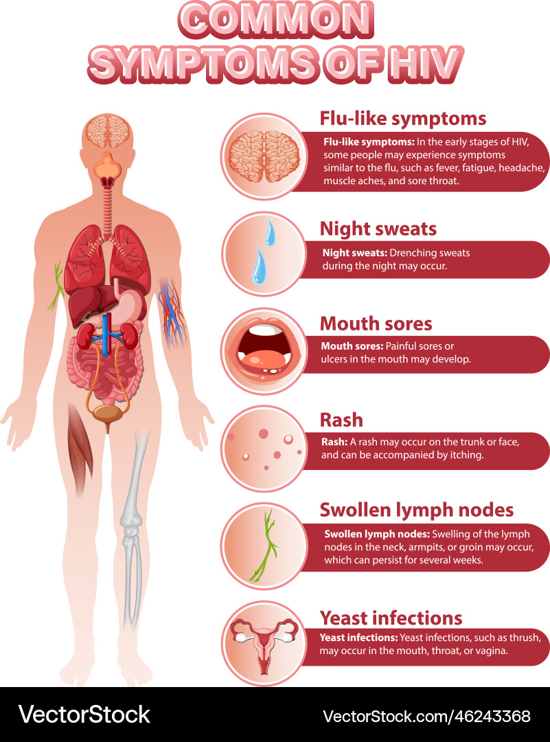 Informative poster of common symptoms hiv Vector Image
