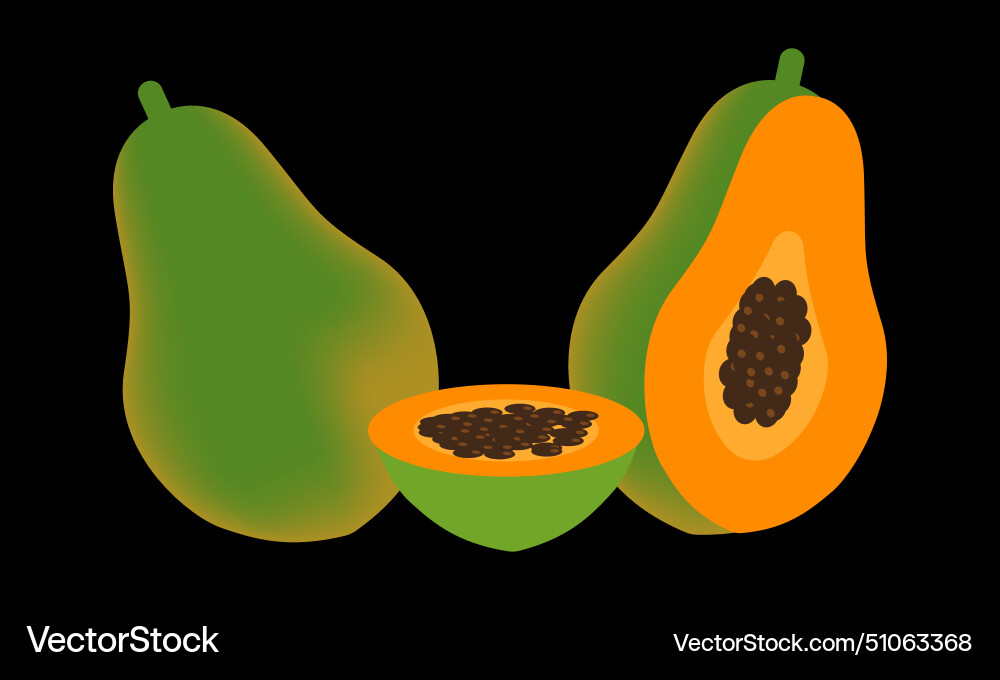 Papaya design Royalty Free Vector Image - VectorStock