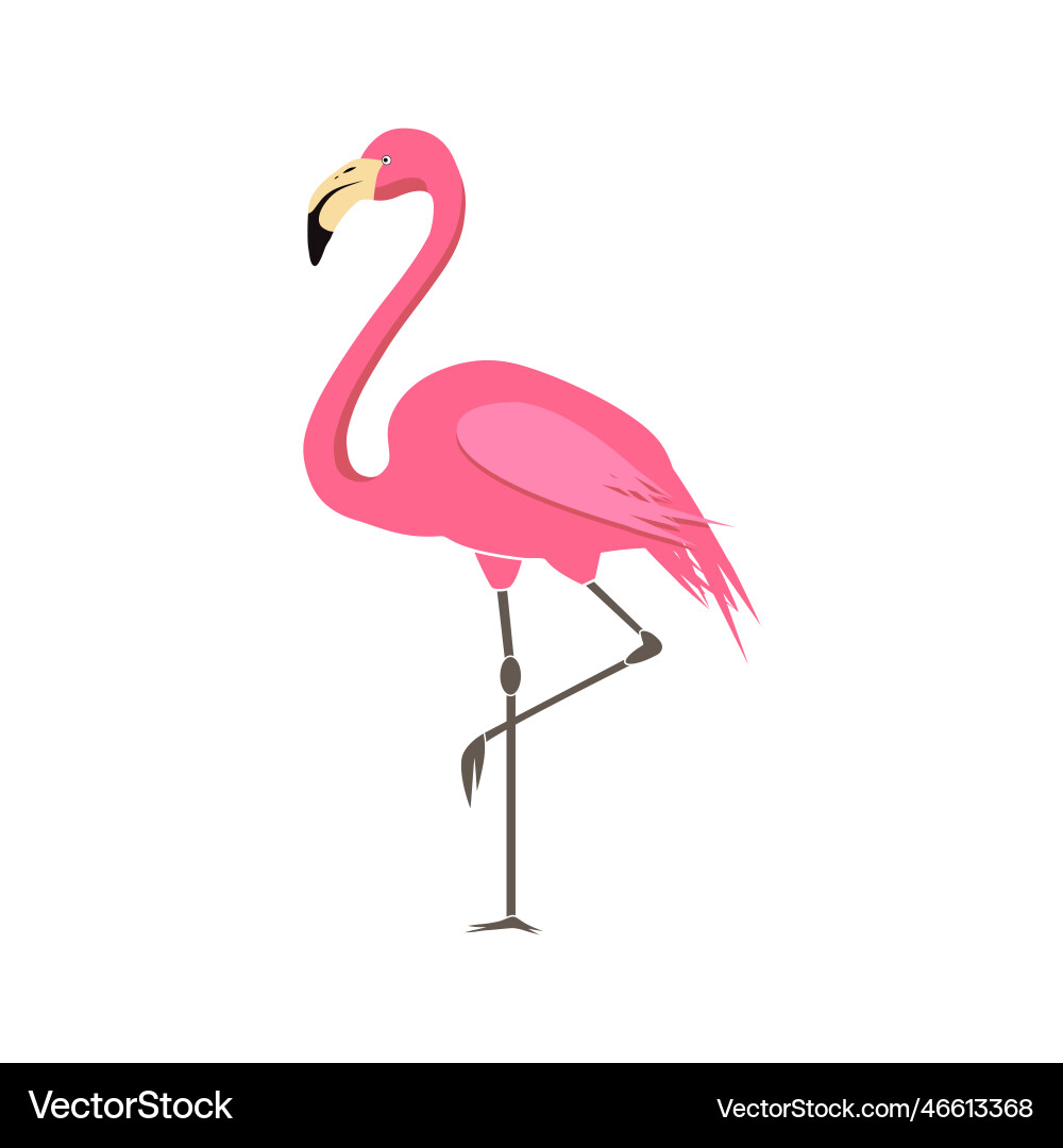 Pink flamingo isolated on white Royalty Free Vector Image