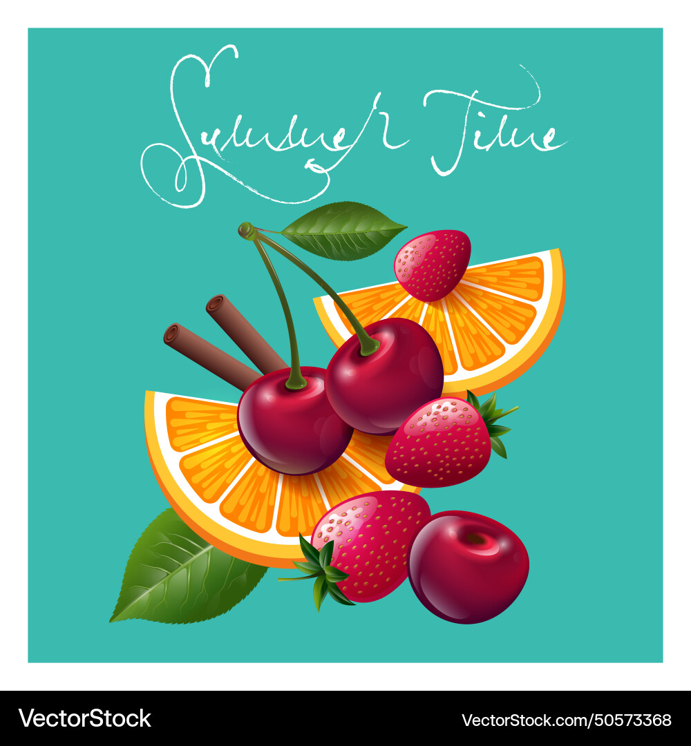 Summer time orange cherries strawberries Vector Image