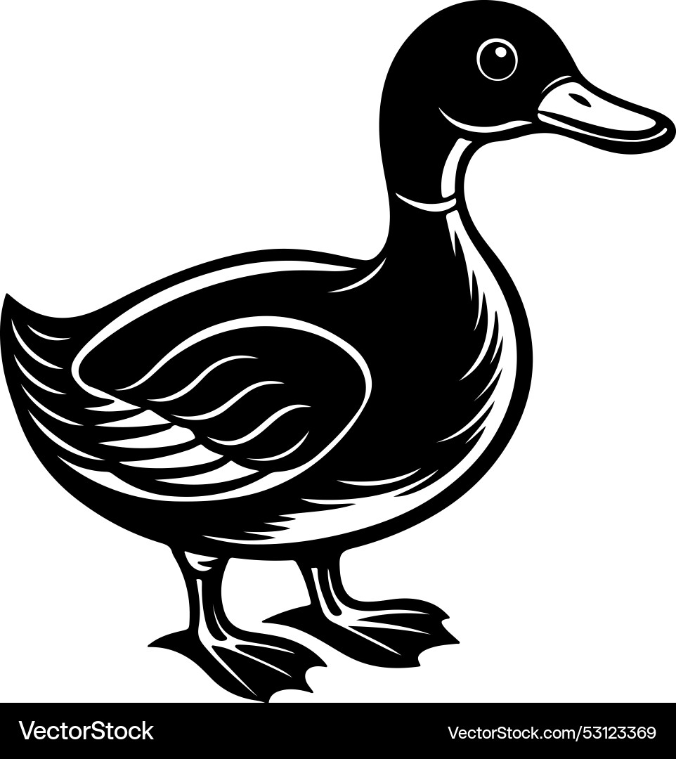 Black and white of a duck Royalty Free Vector Image