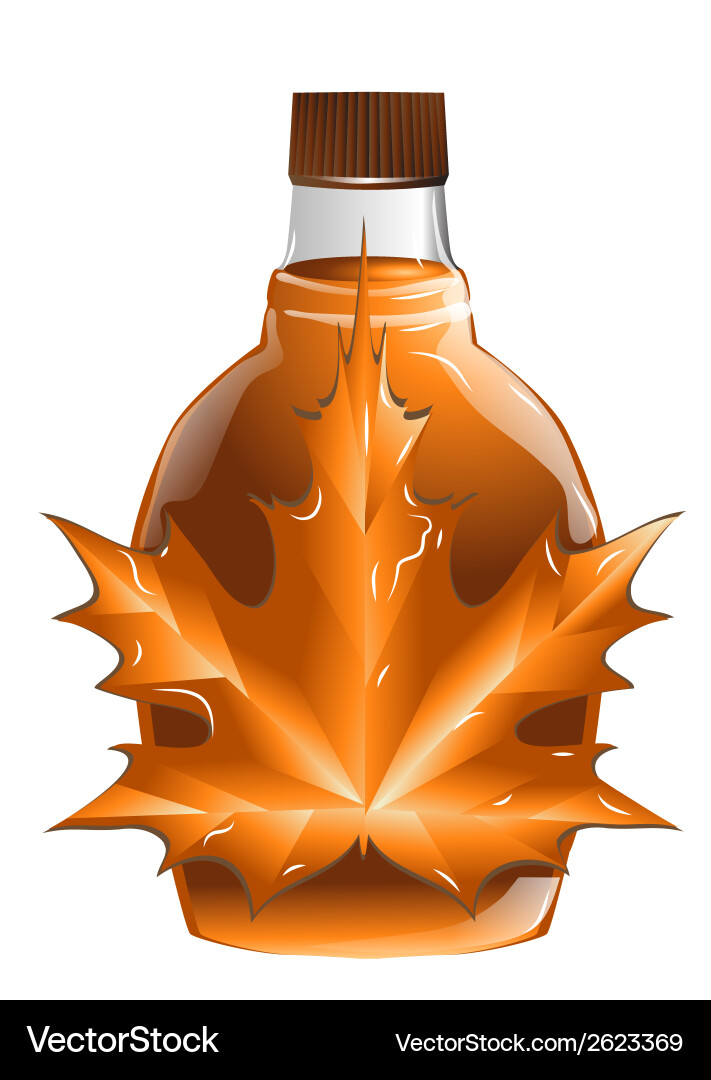 Maple syrup Royalty Free Vector Image - VectorStock