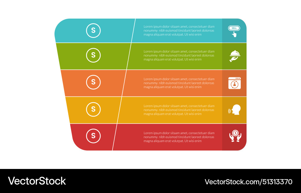 5s model marketing infographics template diagram Vector Image