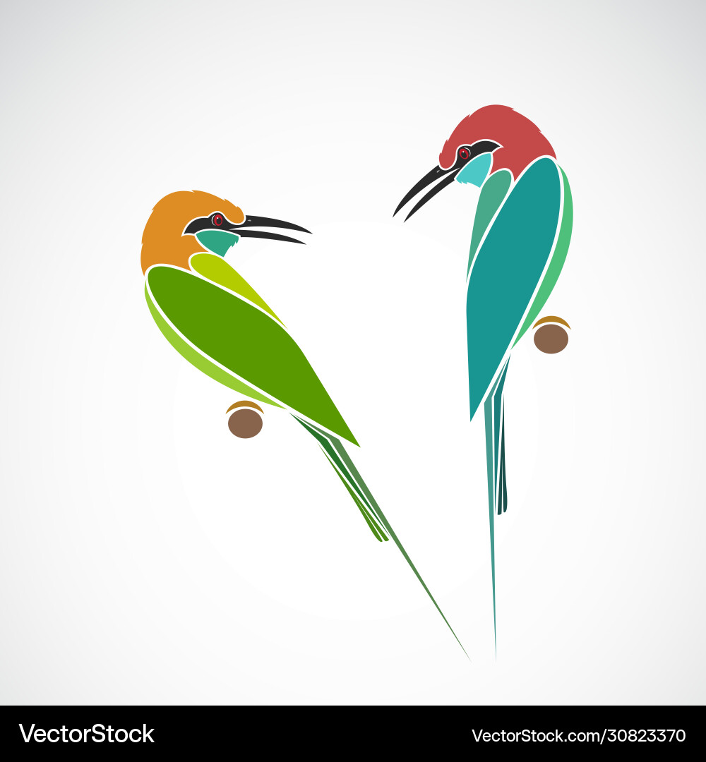 Green bee eater and blue throated Royalty Free Vector Image