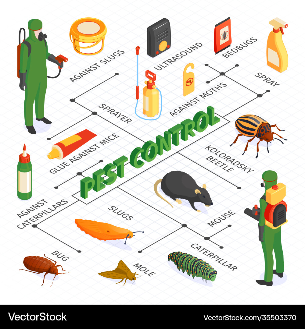 Isometric pest control flowchart Royalty Free Vector Image
