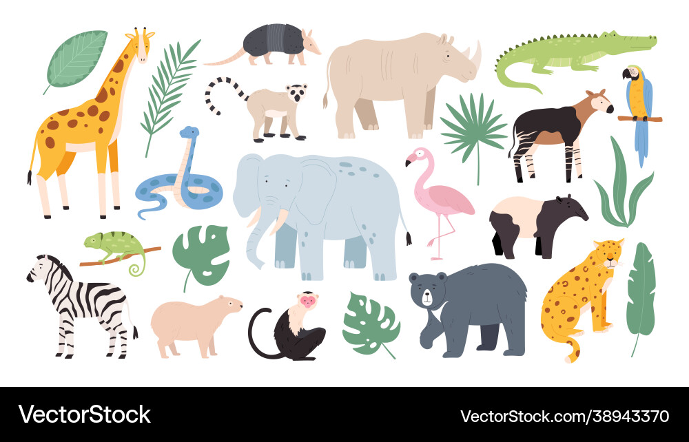 Jungle Safari Animals Royalty Free Vector Image