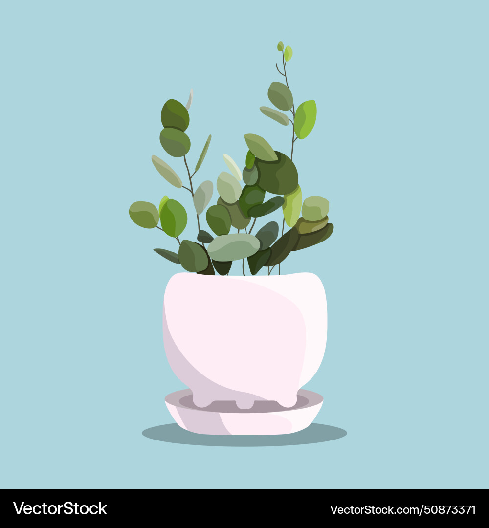 Indoor flower in a pot Royalty Free Vector Image