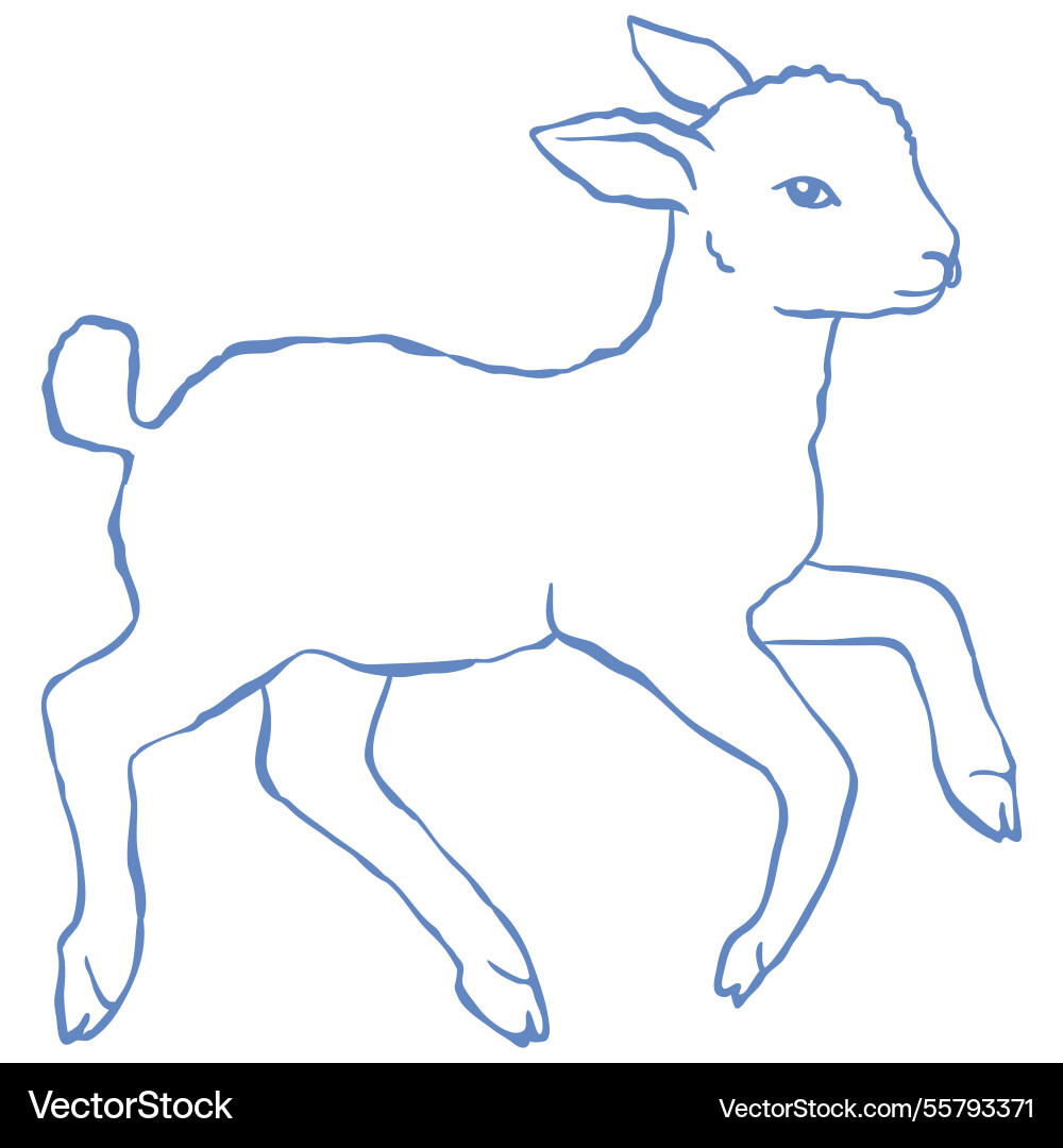 Line art cute lamb Royalty Free Vector Image - VectorStock