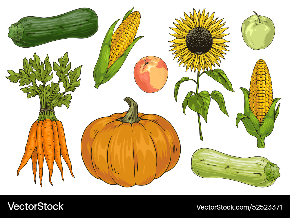 Vegetables and fruits set elements Royalty Free Vector Image