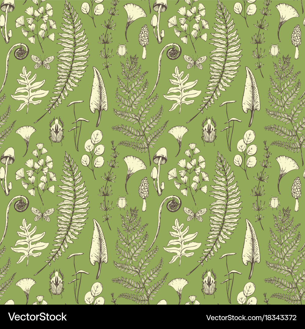 Botanical Fern Pattern Royalty Free Vector Image