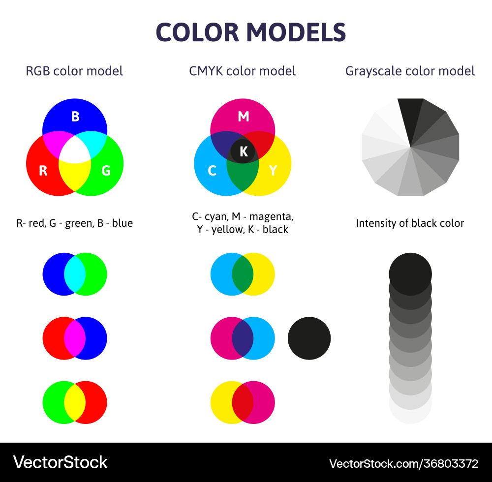 Color Mixing Diagram Rgb Cmyk And Grayscale Vector Image 