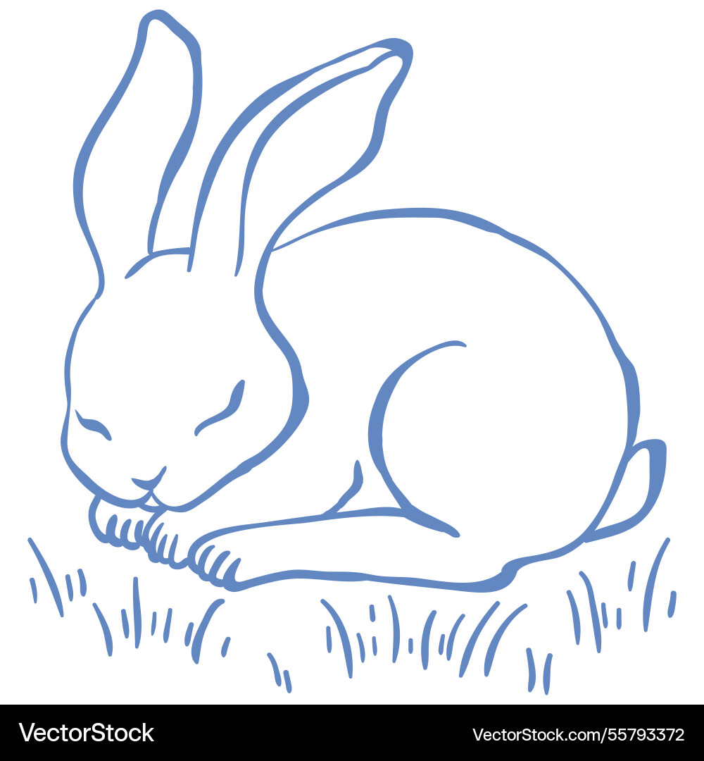 Cute line art bunny Royalty Free Vector Image - VectorStock