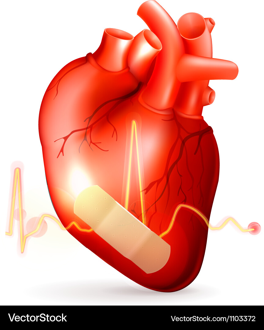 Damaged heart Royalty Free Vector Image - VectorStock