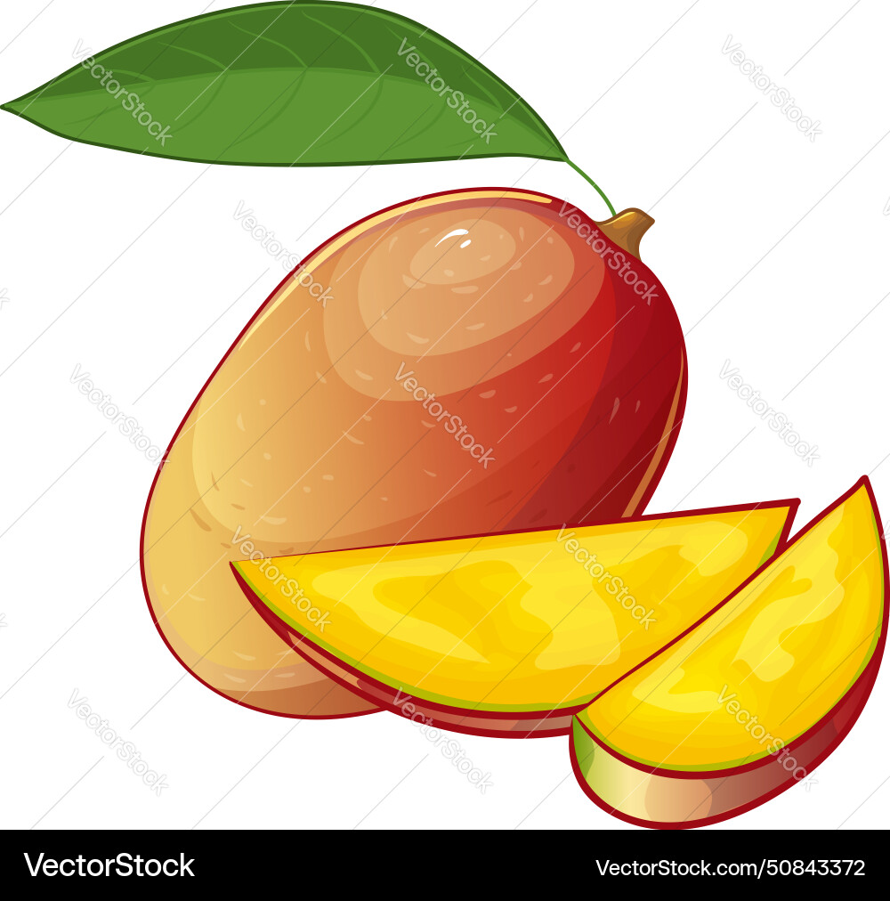 Mango Royalty Free Vector Image - VectorStock