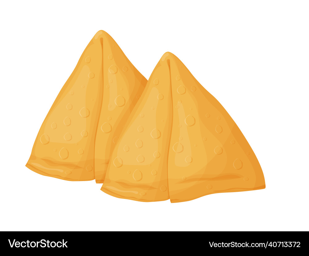 Samosa set asian street food Royalty Free Vector Image