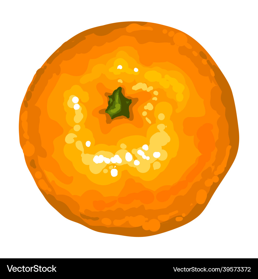 Stylized of mandarin image Royalty Free Vector Image