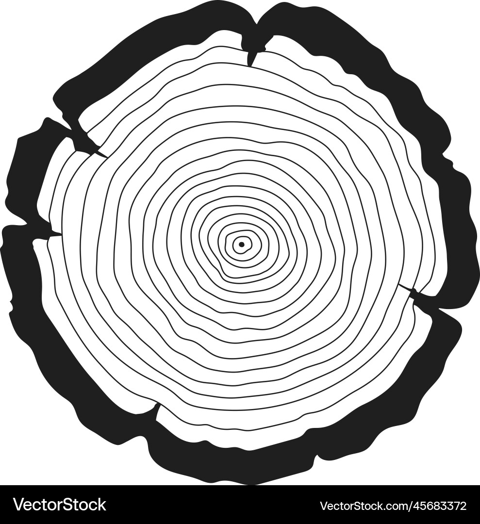Wood rings black linear cut monochrome log Vector Image