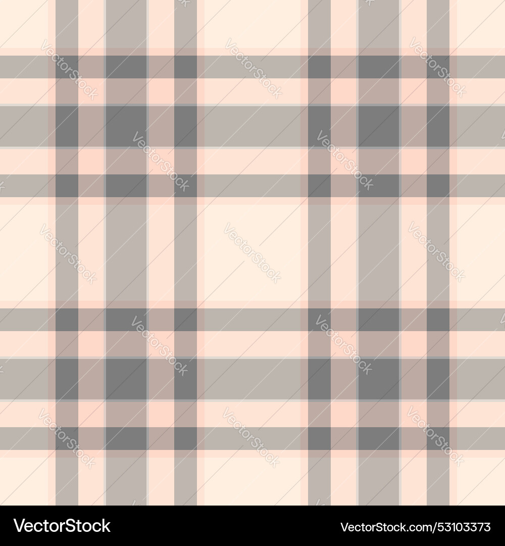 Seamless fabric pattern of check textile texture Vector Image
