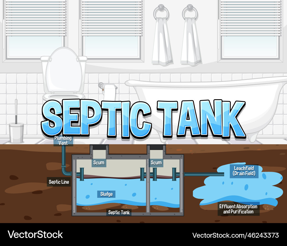 Septic tank system diagram Royalty Free Vector Image