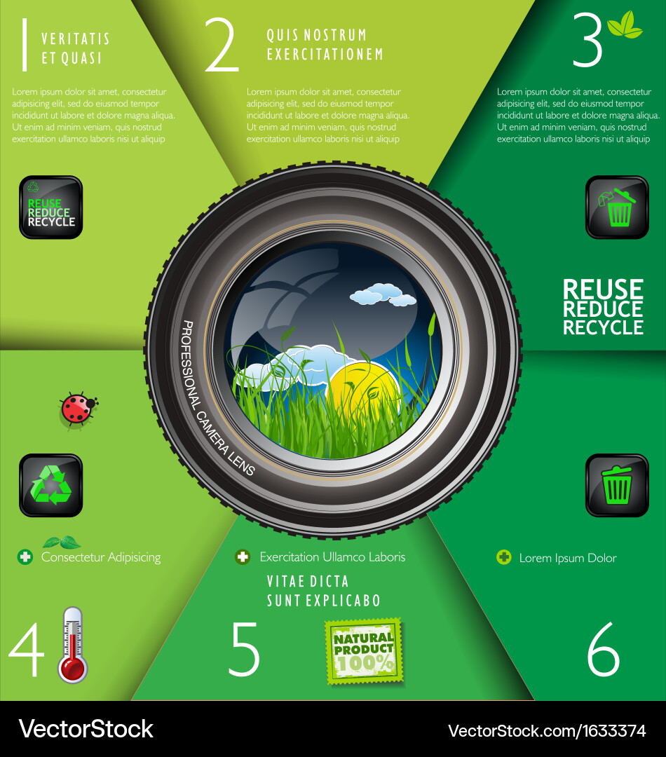 Green Nature Focus Infographic Royalty Free Vector Image