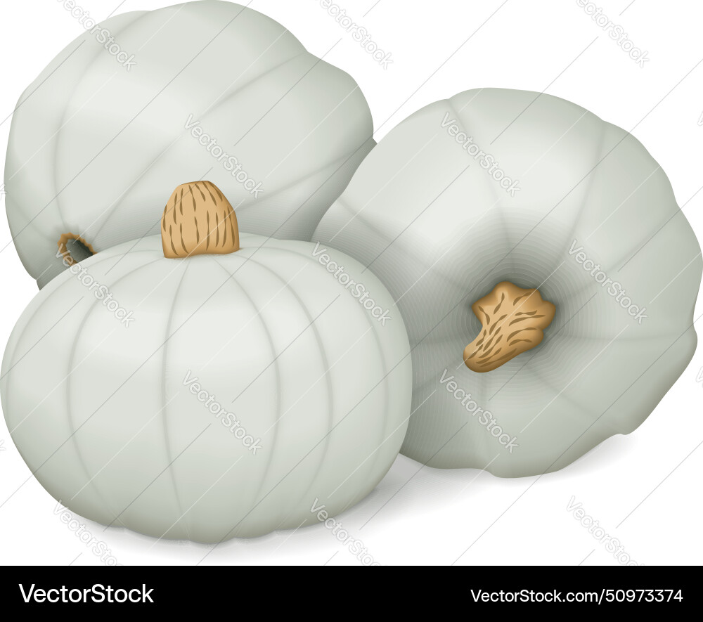 Group of crown prince squash Royalty Free Vector Image