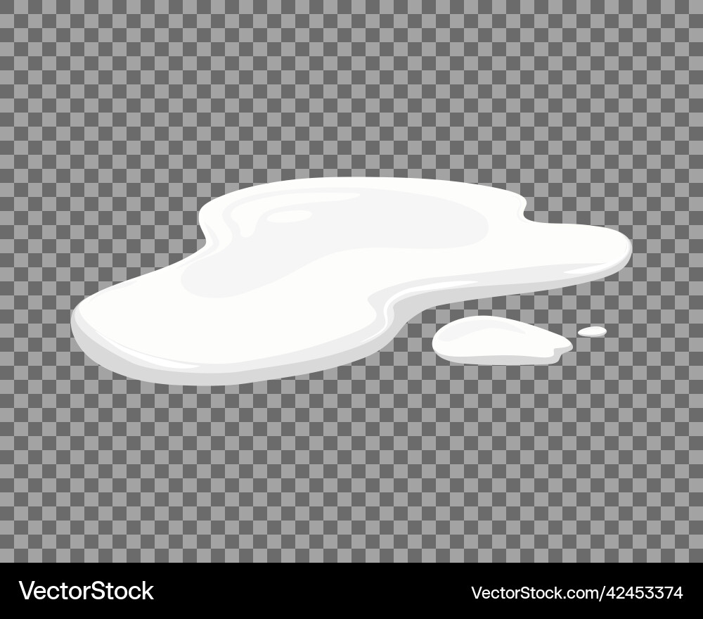 Milk spill on a transparent background puddle Vector Image