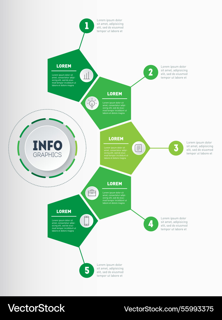5-point business framework with numbered steps Vector Image