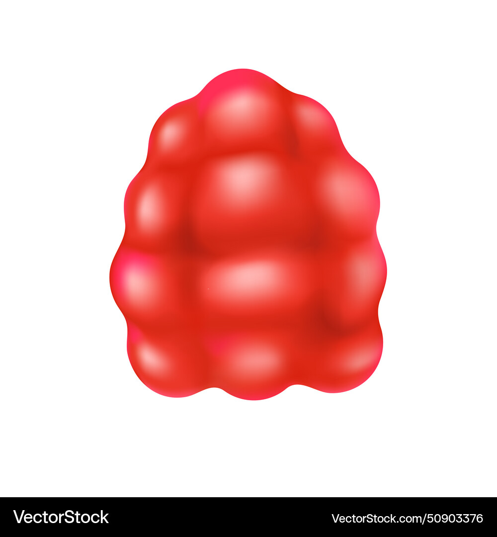 3d jelly candy of red berry shape and raspberry Vector Image