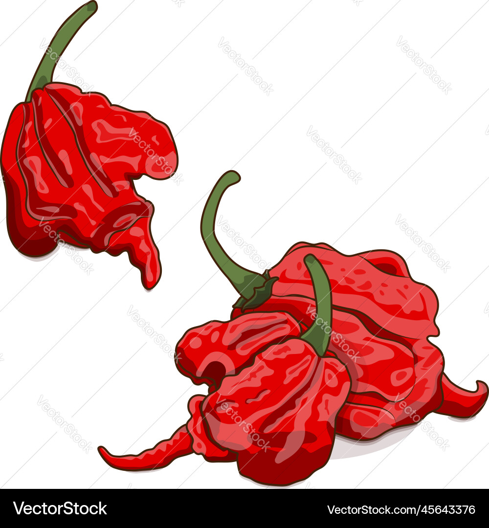 Carolina Reaper Vector Images (41)