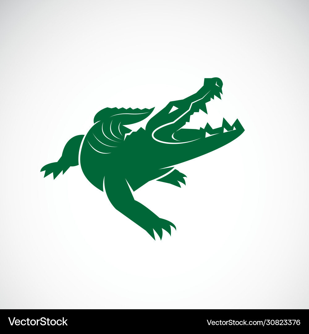 Crocodile design on white background wild animals Vector Image