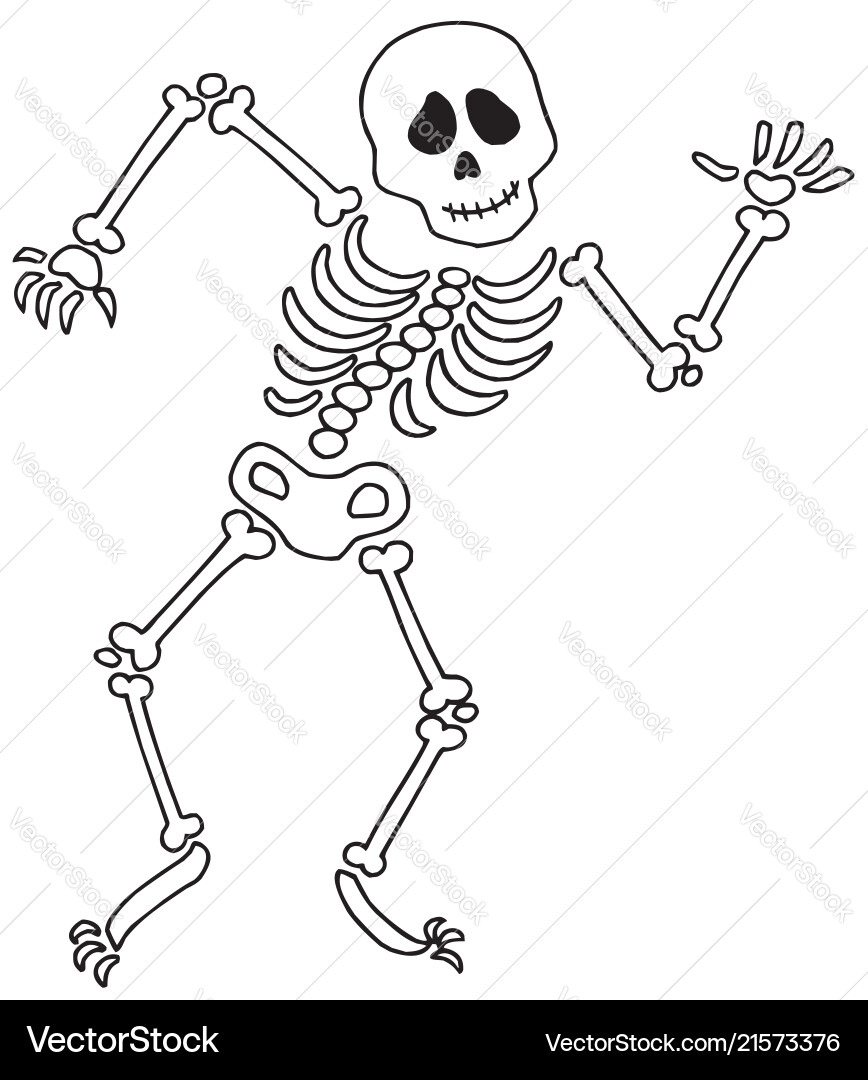 Dancing skeleton Royalty Free Vector Image - VectorStock