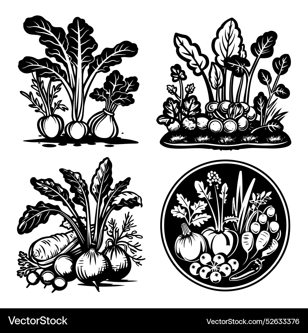 Detailed botanical of various vegeta Royalty Free Vector