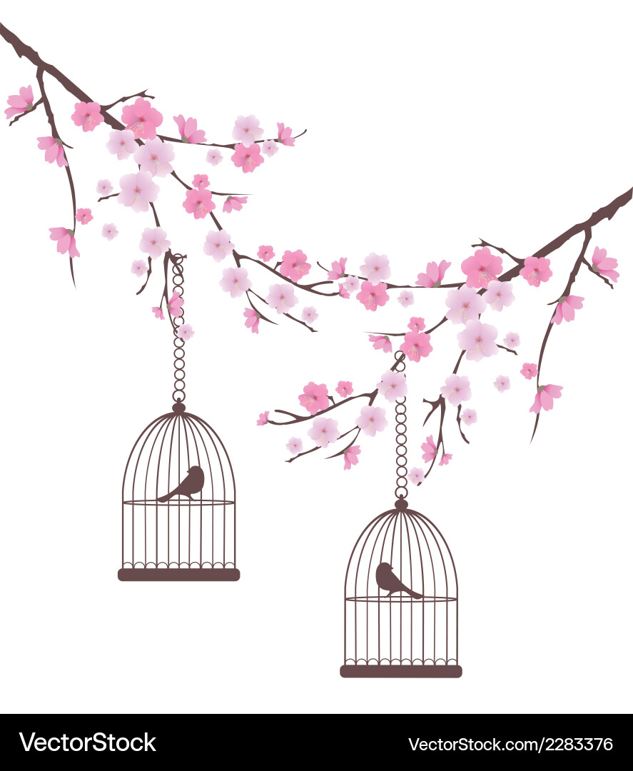 Pink Cherry Blossom Royalty Free Vector Image - VectorStock