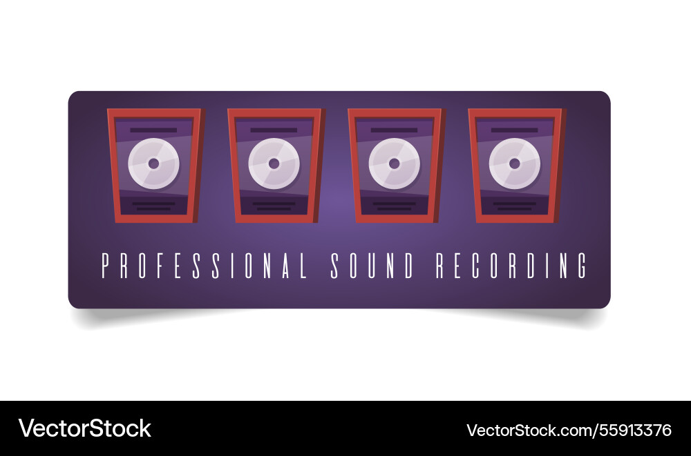 Professional sound recording studio lp disc Vector Image
