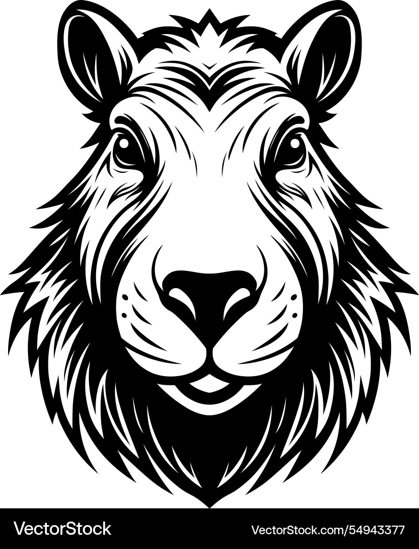 Capybara Head Portrait Royalty Free Vector Image