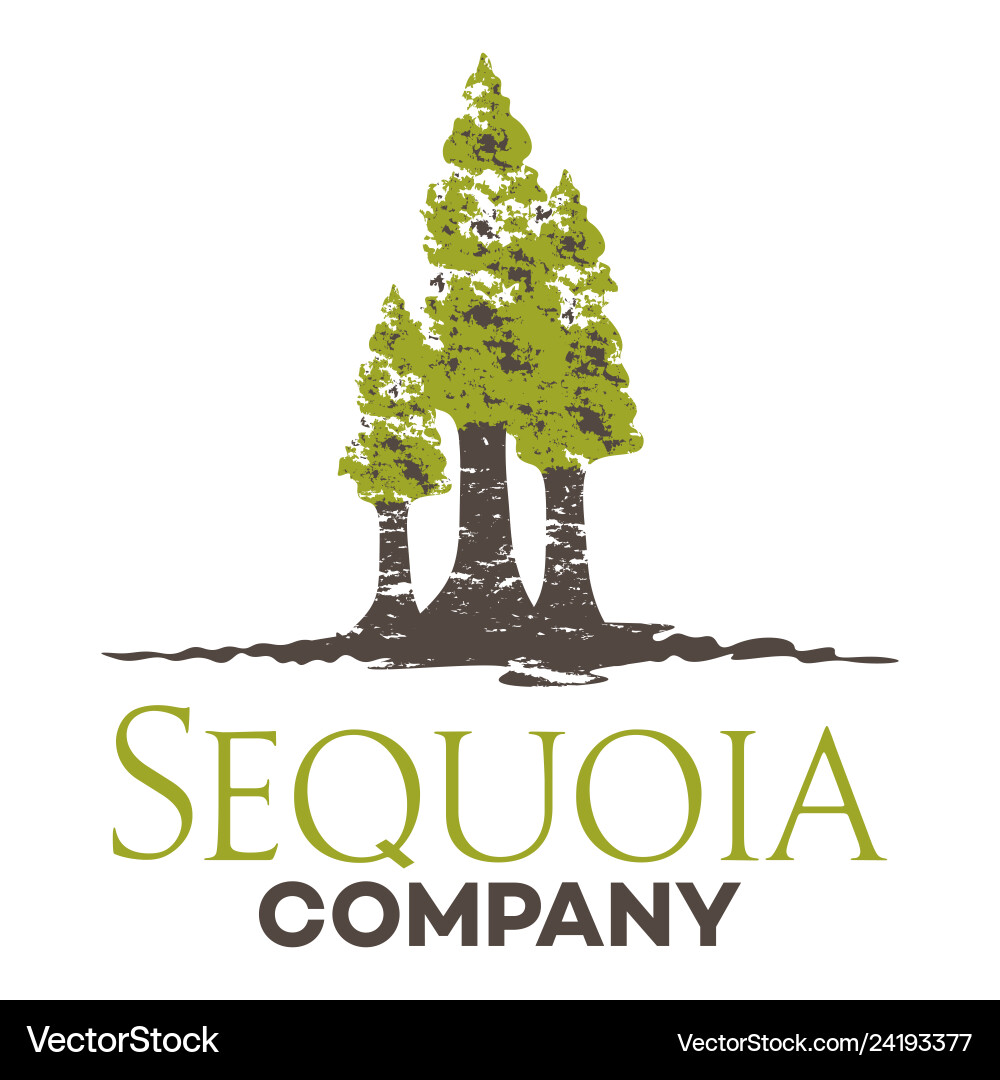 Sequoia Tree Logo