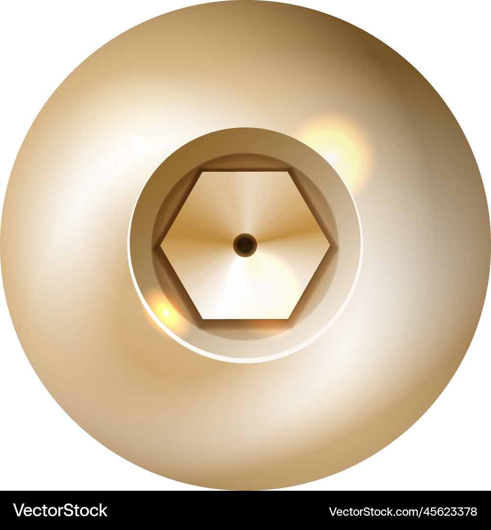 Realistic screw head Royalty Free Vector Image