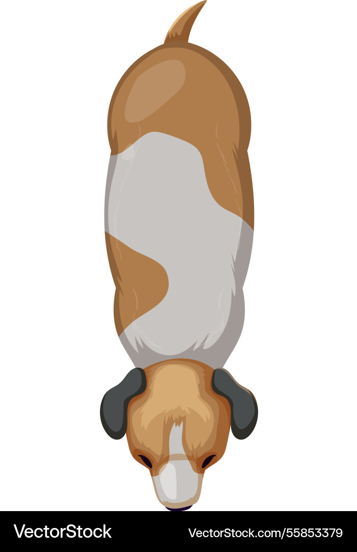 A dog from top perspective Royalty Free Vector Image