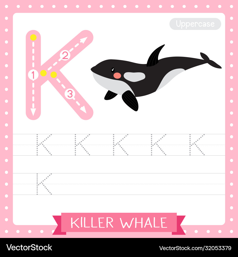 Letter k uppercase tracing practice worksheet Vector Image